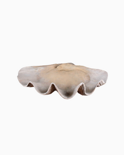 Clam Shell Bowl – Norris Furniture